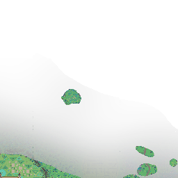 Forgotten Market | The Marketplace For Forgotten Runes