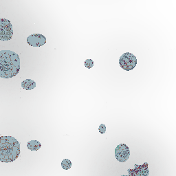 Forgotten Market | The Marketplace For Forgotten Runes