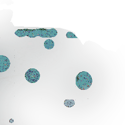 Forgotten Market | The Marketplace For Forgotten Runes